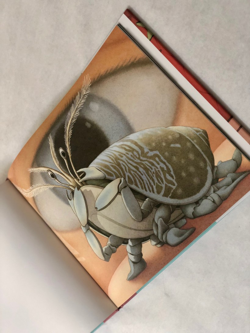 Flotsam by David Wiesner