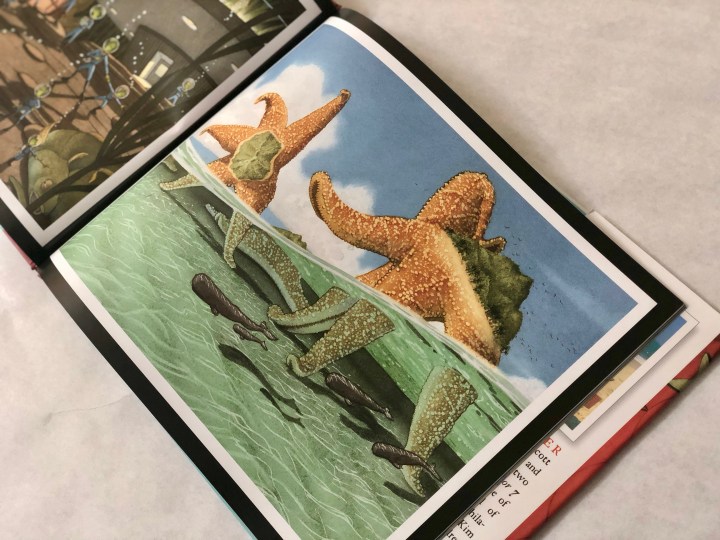 Flotsam by David Wiesner