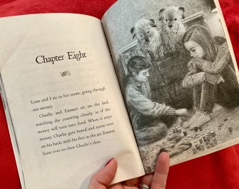 The True Gift by Patricia MacLachlan