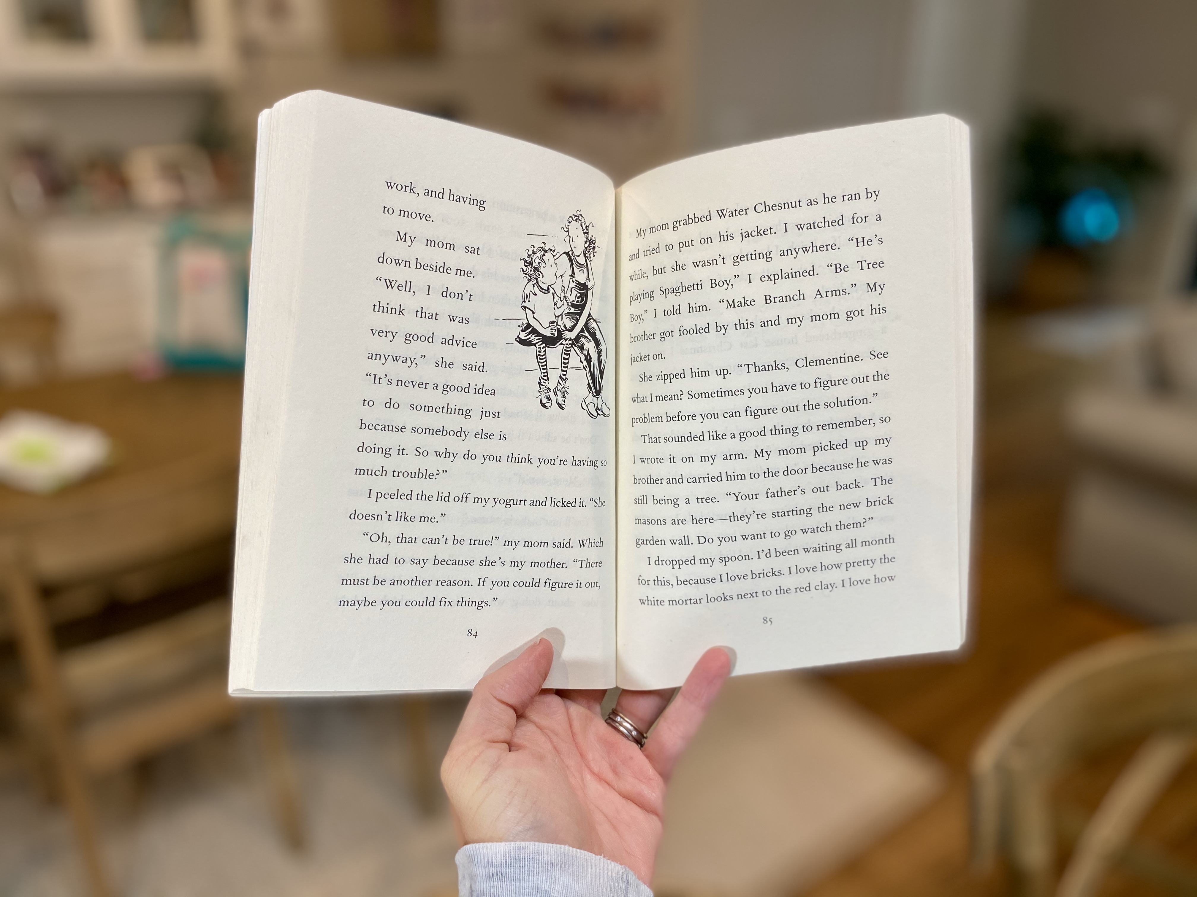 The Clementine Series by Sara Pennypacker