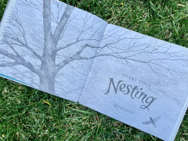 Nesting by Henry Cole