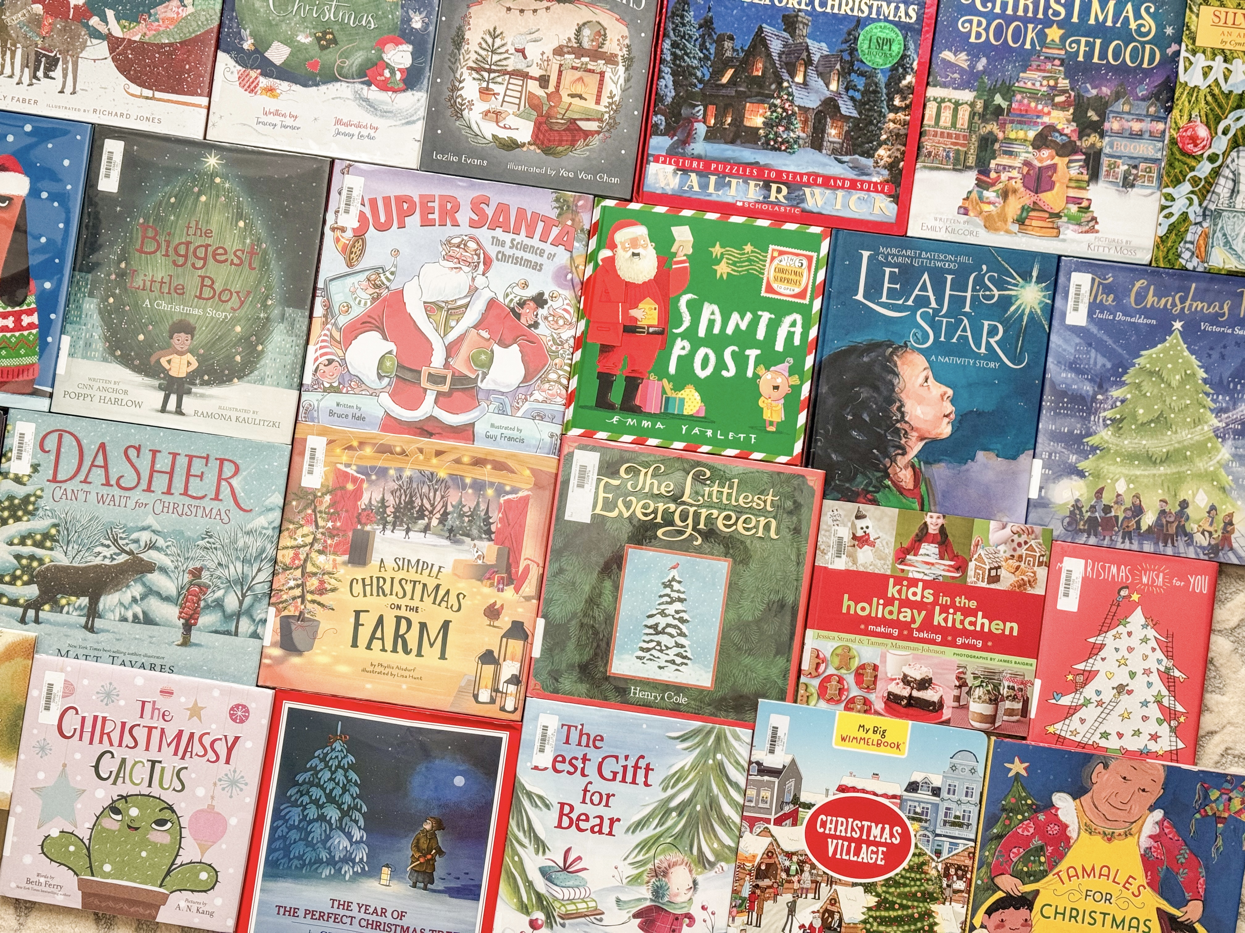 25 Christmas Books for 2024